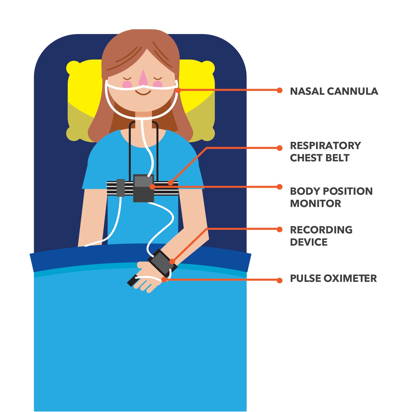 Sleep Study - Sleep Disorders Clinic